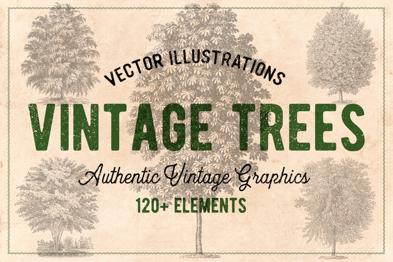 122 Vintage Trees (Vector), an Illustration by Brigantine Designs
