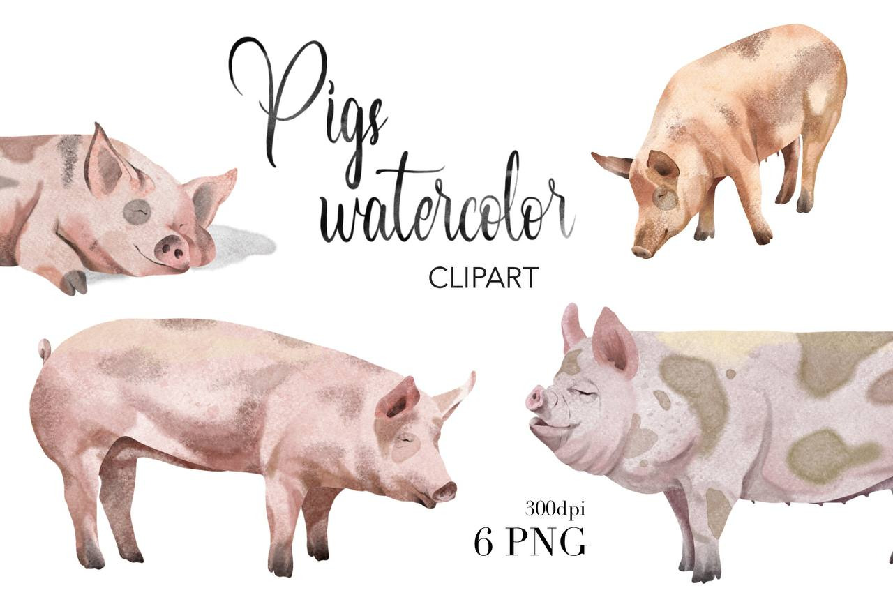 Pig Watercolor Clipart. Farm Animal, an Animal Illustration by NKTKNS ...