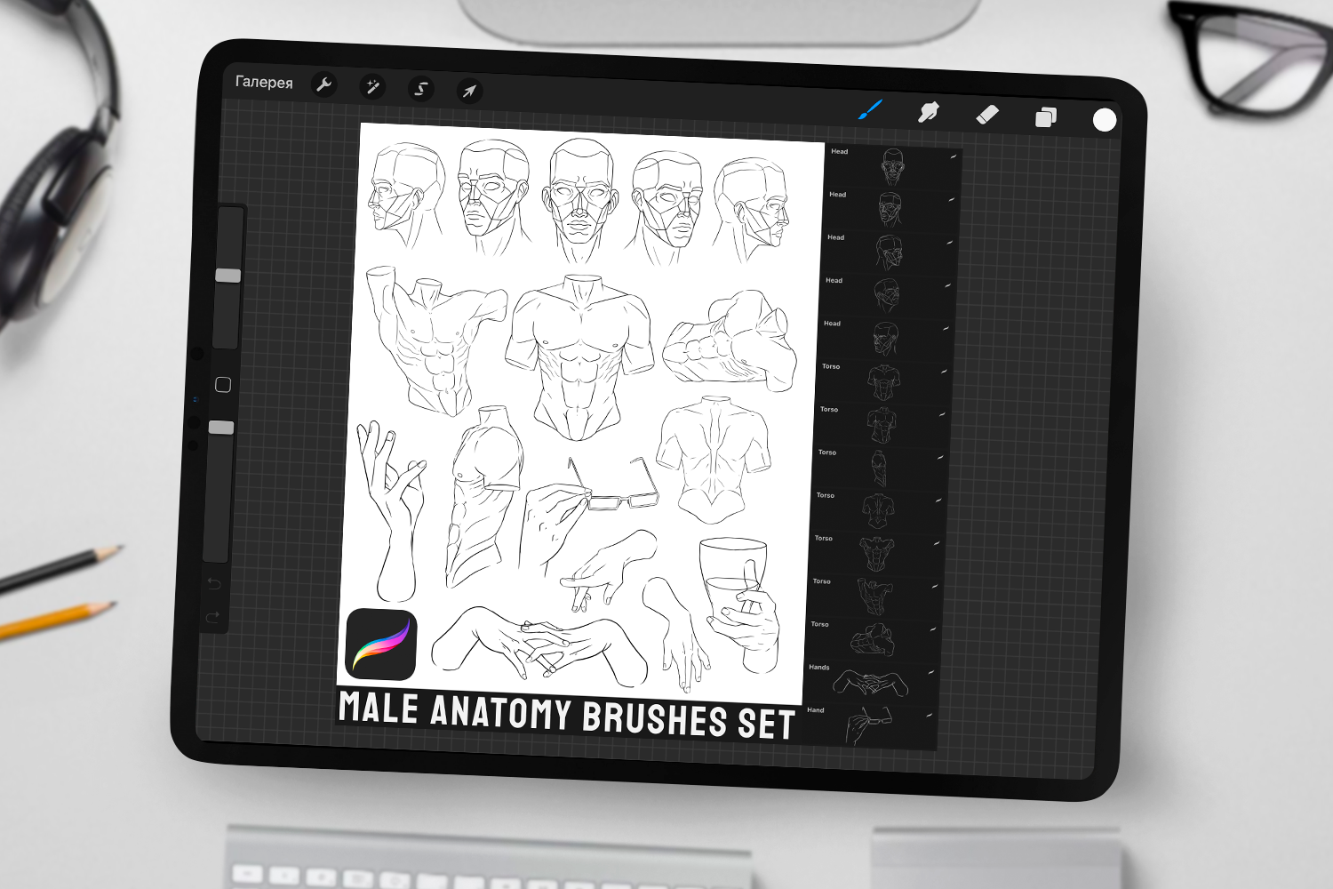 Male Anatomy Brushes Set for Procreate