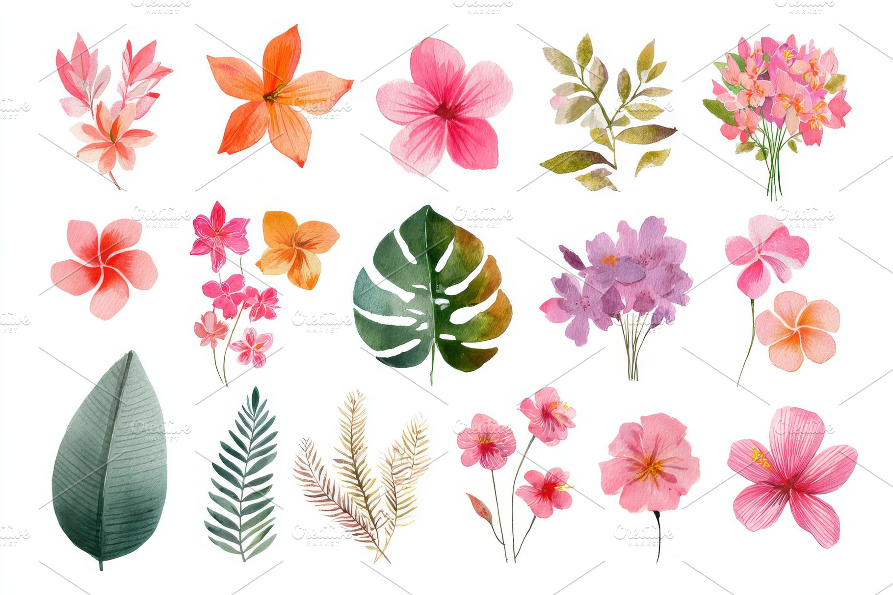 Watercolor Tropical Flowers and Leav, a Background Photo by Pixeness Studio