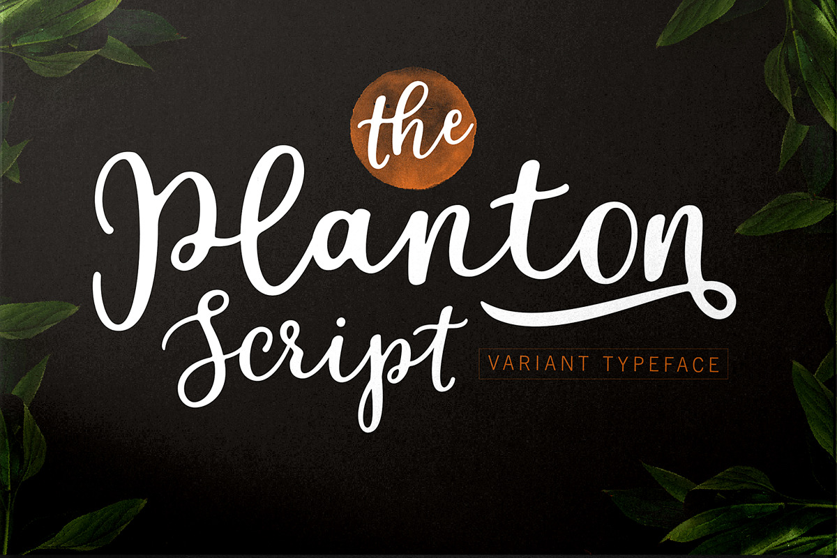 Planton Script, a Script Font by Genesis Lab
