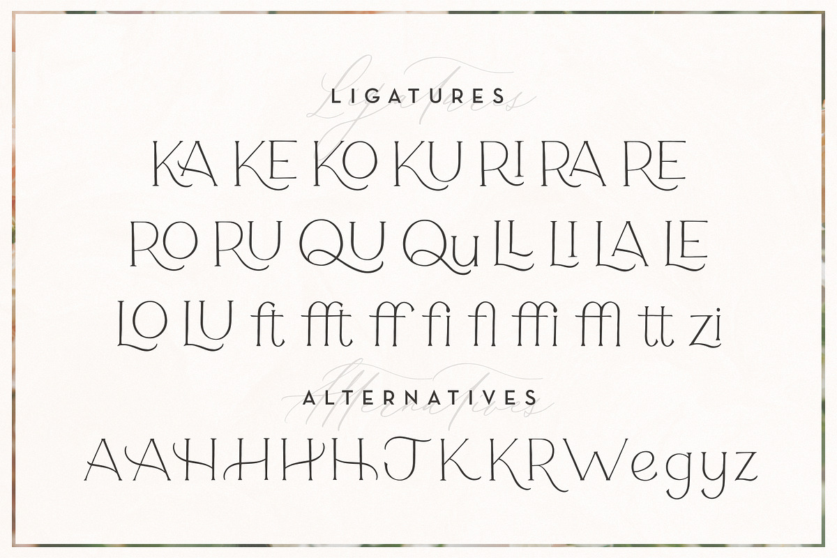 Rosemarie Dainty Serif, a Serif Font by Rachel Kick
