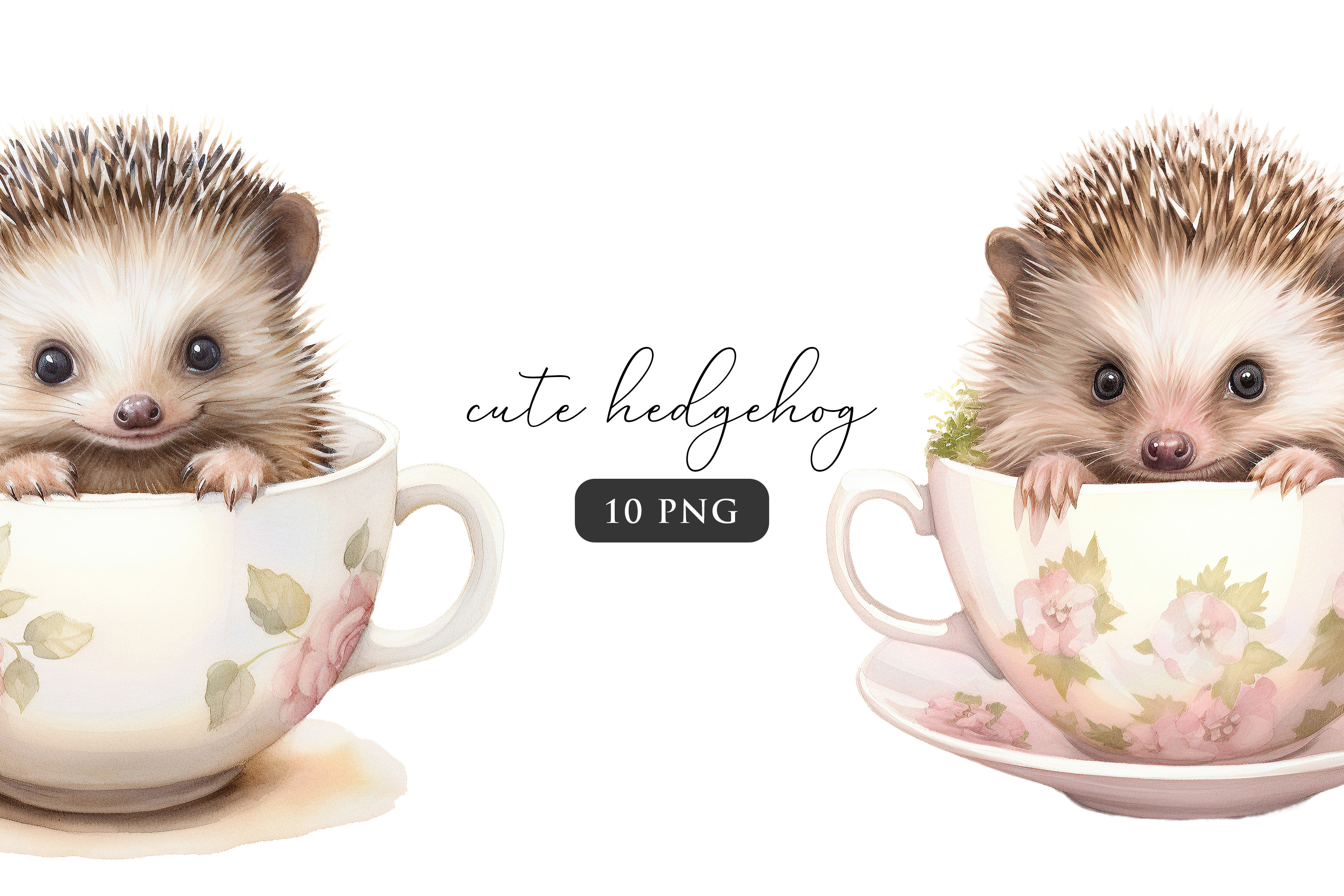 Cute Hedgehog Clipart, an Animal Illustration by PaintPixelCo