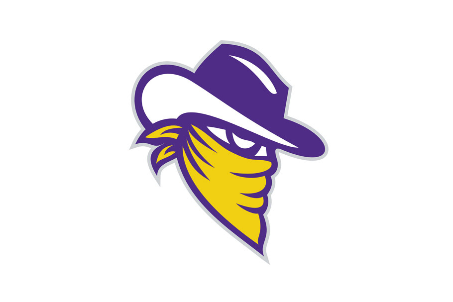 Bandit Covered Face Icon, an Illustration by patrimonio | Creative Market