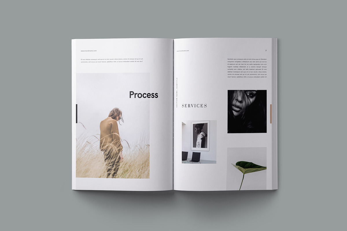 Nano Proposal Indesign template, a Stationery Template by Goashape Studio