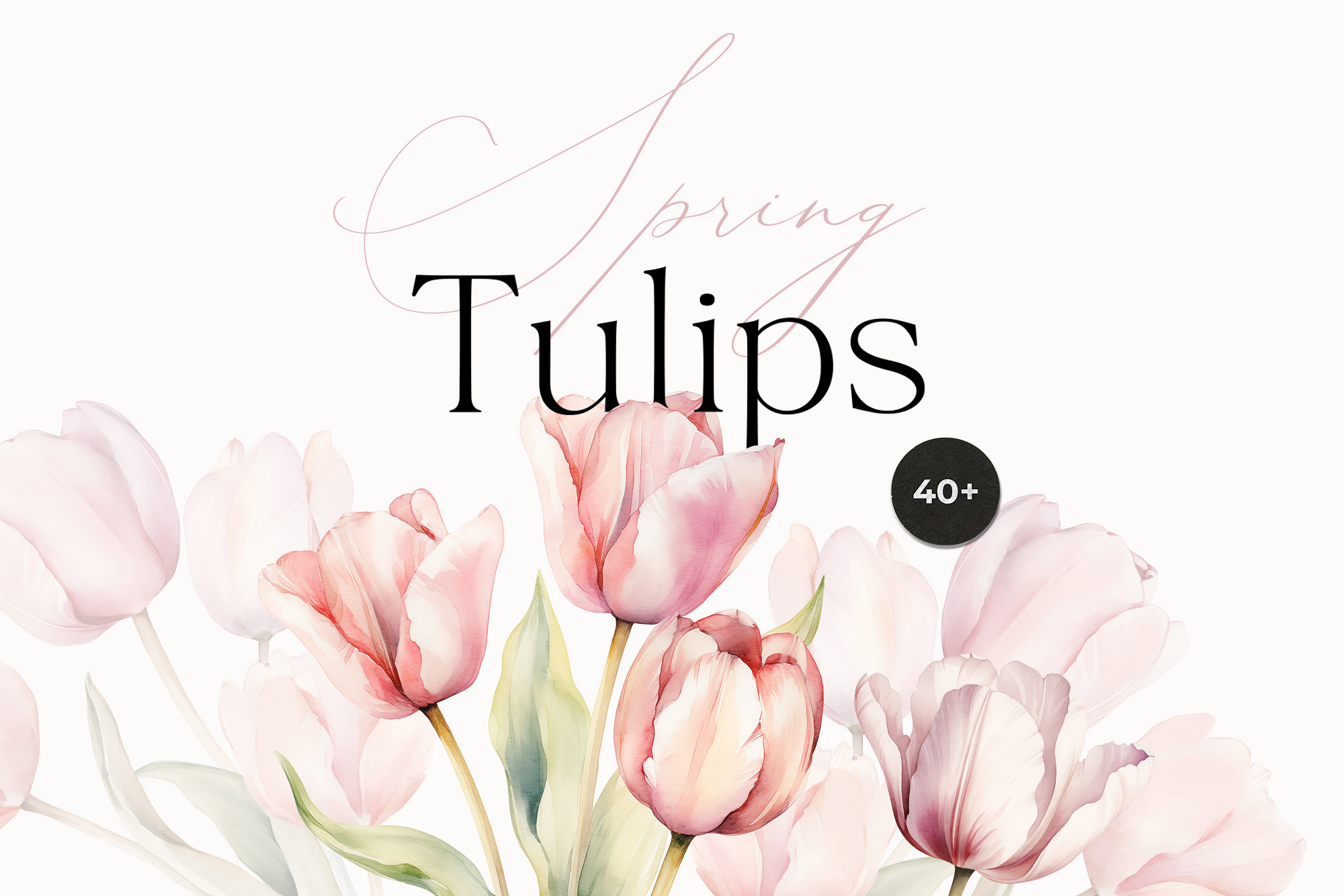 TULIPS Spring Watercolor Flowers