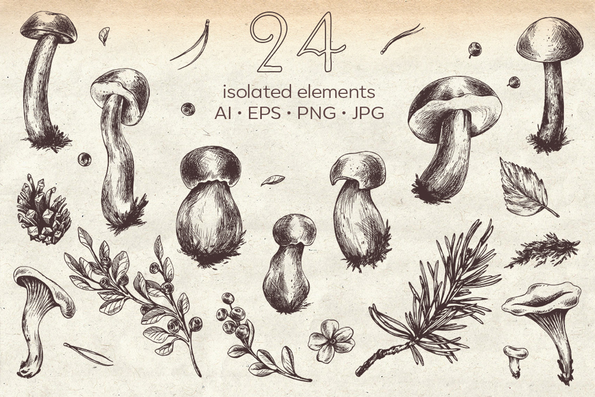 Edible forest mushrooms ink graphics, a Food Illustration by NATASHA CHU