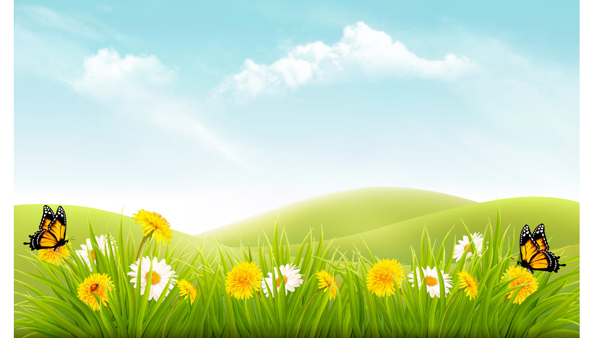 Nature background with grass, a Decorative Illustration by ecco