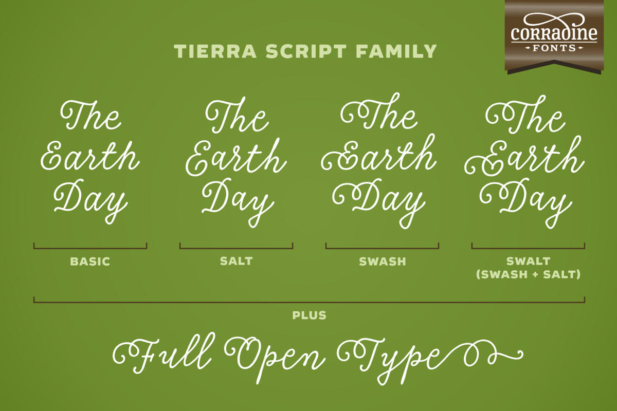 Tierra Script, a Script Font by Corradine Fonts