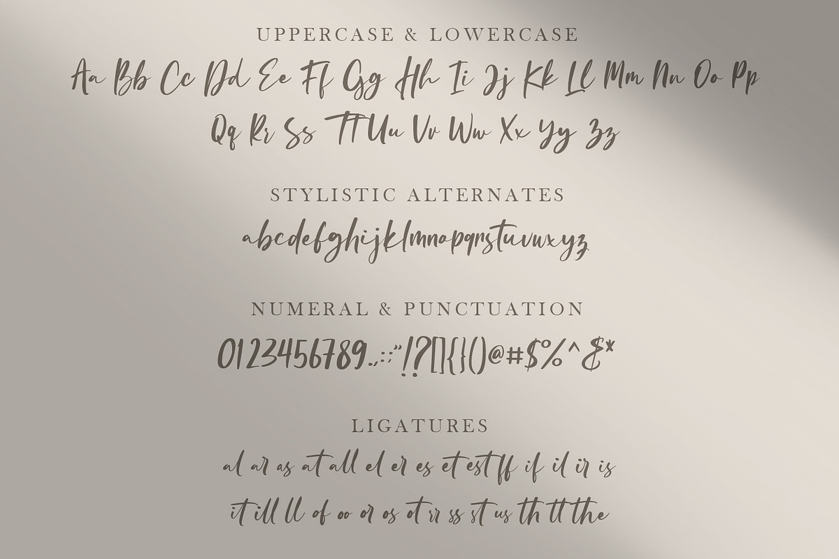 Oliver Blush Modern Calligraphy, a Script Font by Typetemp Studio