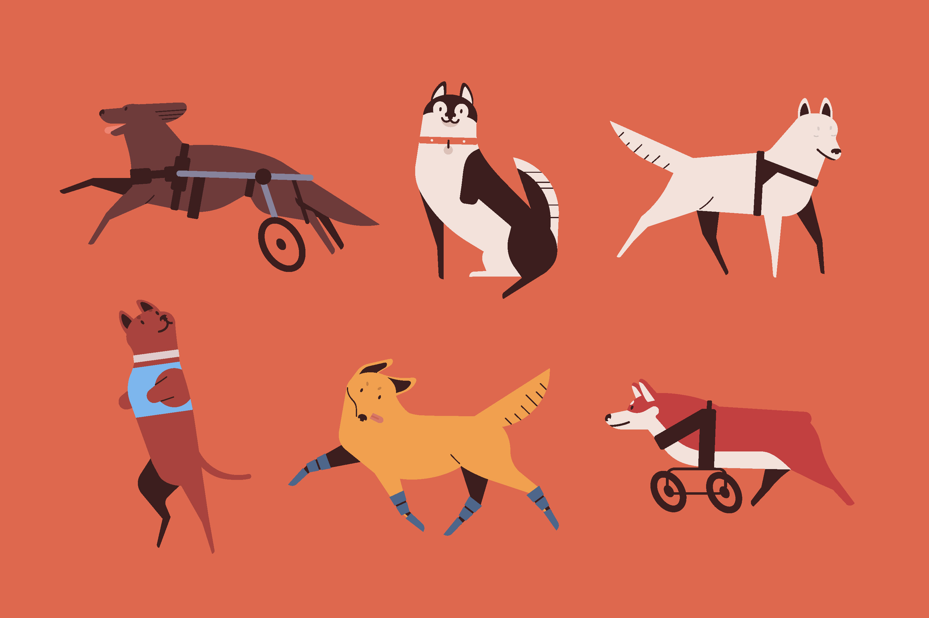 Disabled dogs set, an Animal Illustration by Good Studio