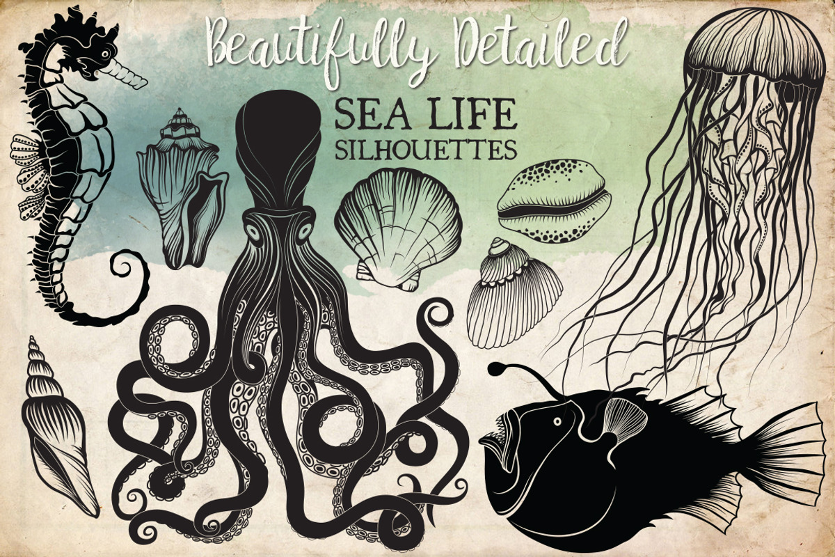 Hand Drawn Ocean Life Clipart, an Animal Illustration by Kenna Sato Designs