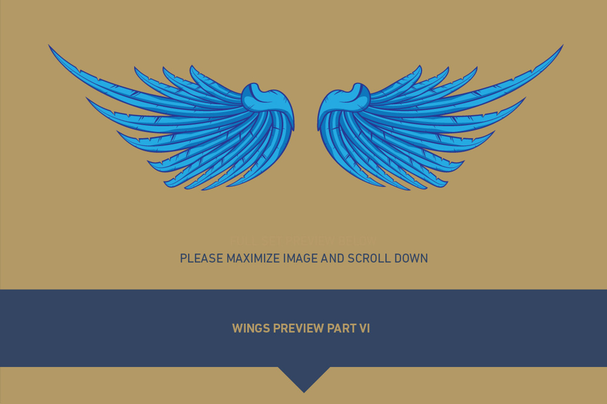 160 Pairs of Vector Wings, an Object Graphic by Damien