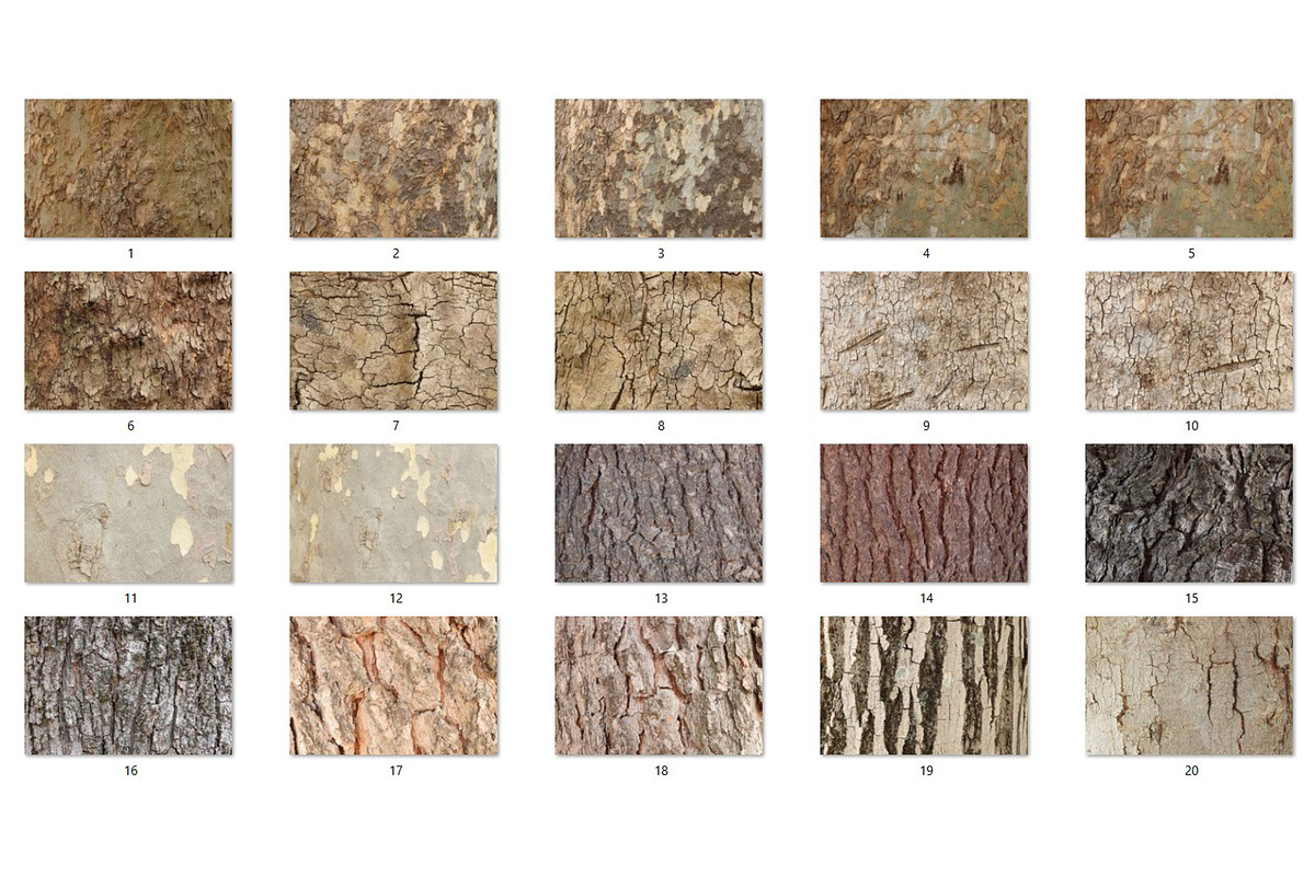 20 Tree Bark Textures, a Texture Graphic by CCPreset