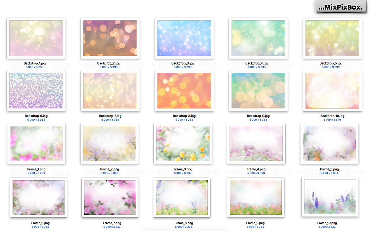 Art Flowers Photo Overlays, an Object Graphic by MixPixBox