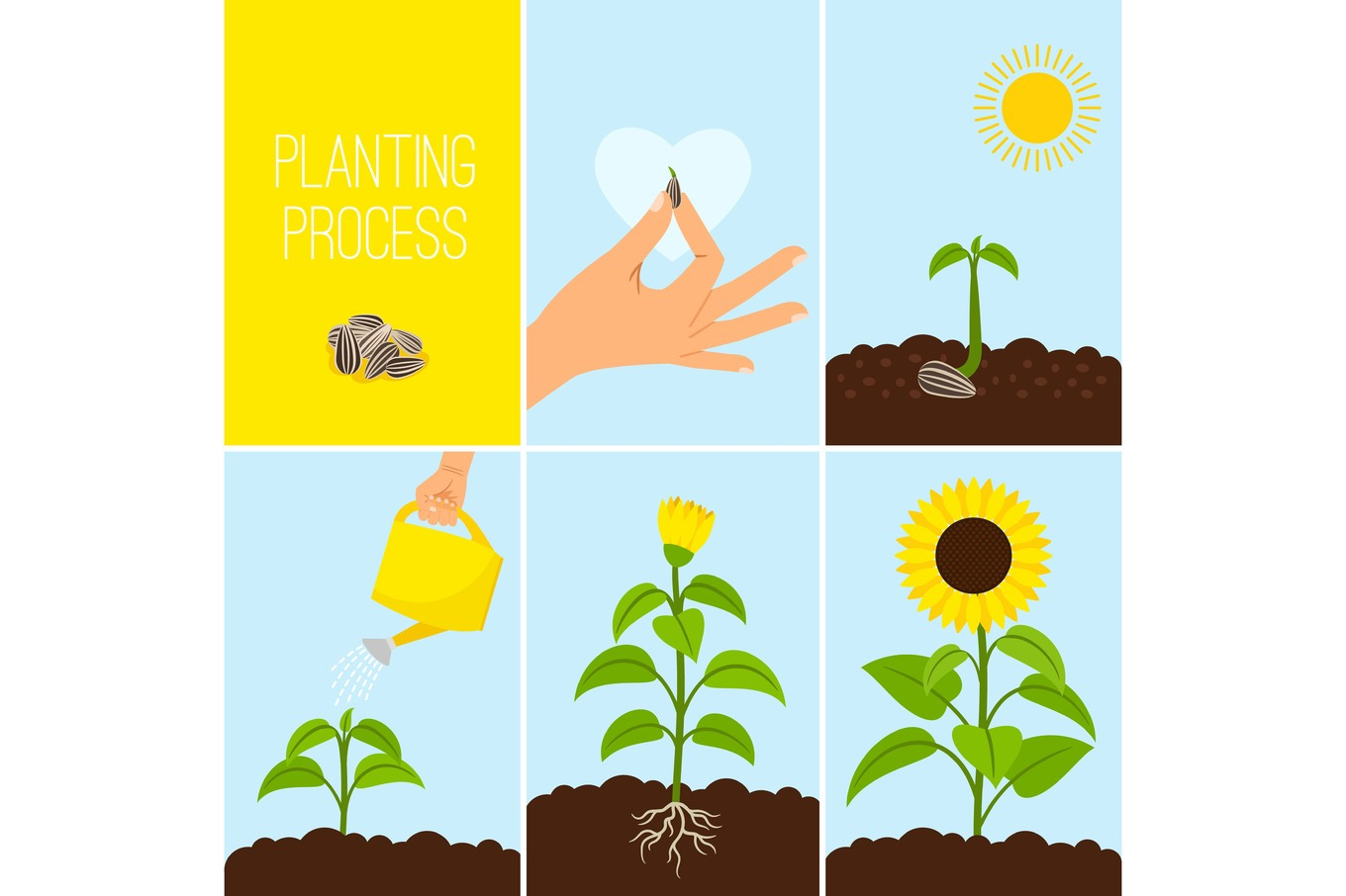 Flower planting process, a Decorative Illustration by Stock-Smart-Start ...