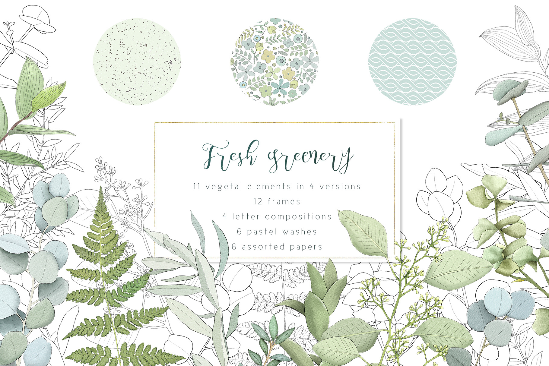Fresh greenery frames and patterns