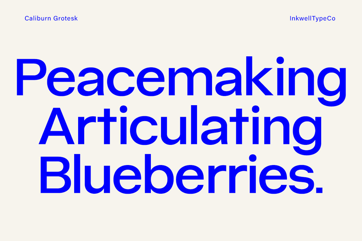 Caliburn Grotesk | Modern Variable, a Sans Serif Font by InkwellTypeCo ...