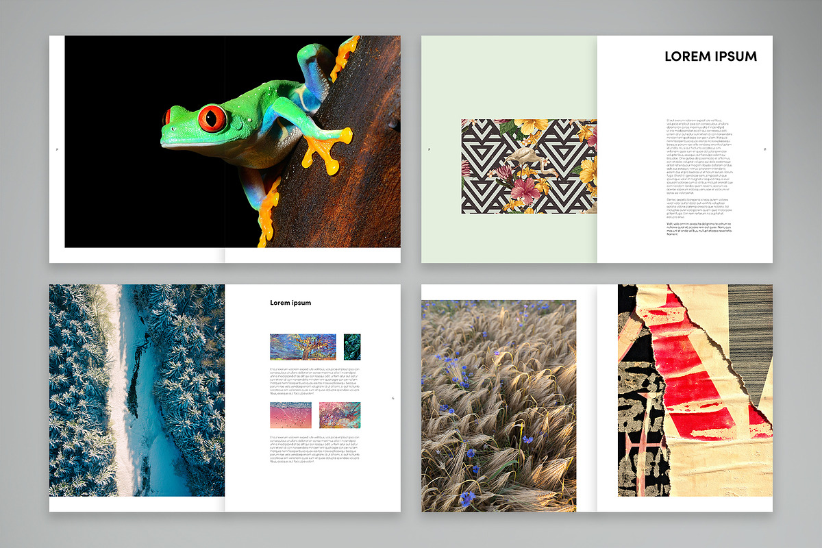 Simple Sample Catalog