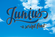 Junius, a Script Font by Eurotypo