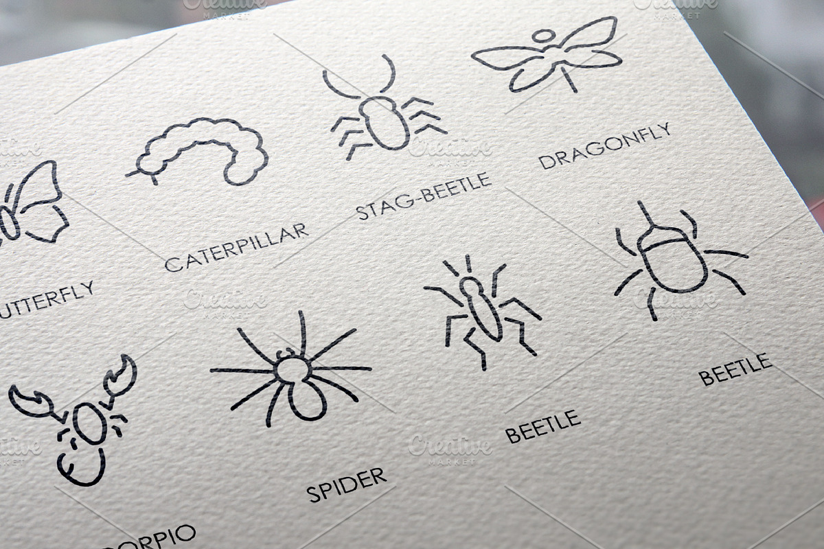 Insects thinline icons, an Outline Icon by Palau