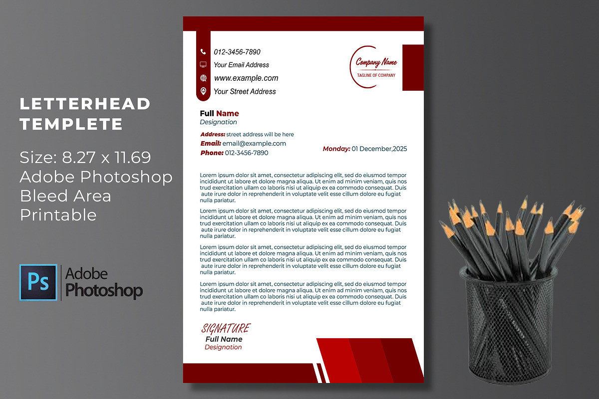 Professional Letterhead Layout