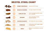Bristol stool scale, poop types, an Illustration by Valerie Bodnar