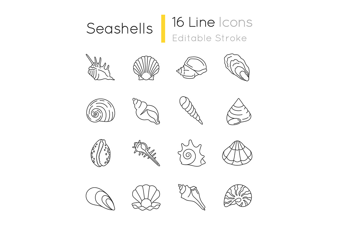 Seashells pixel perfect linear icons, an Outline Icon by IMG visuals icons
