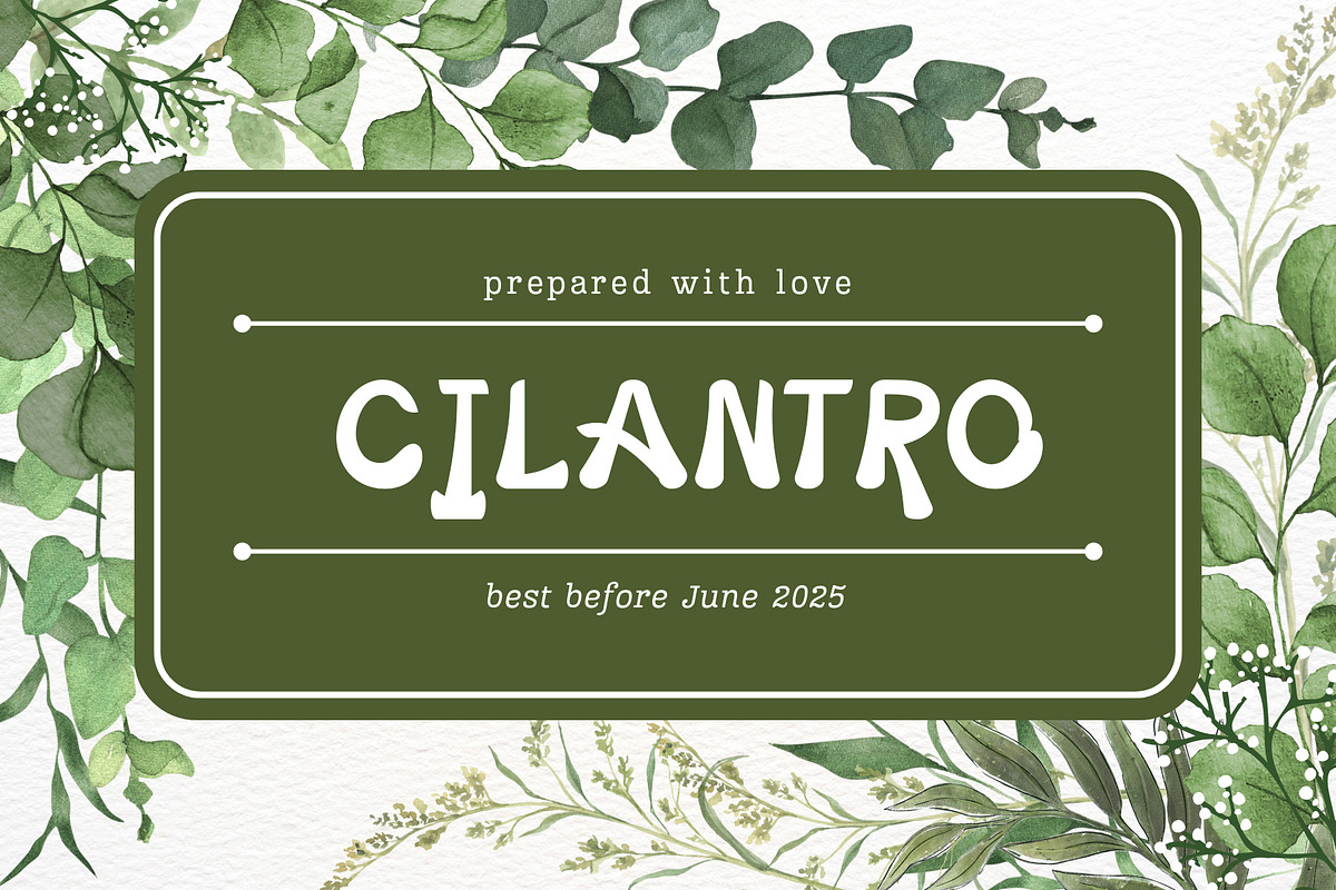 Ditmos – Display Font