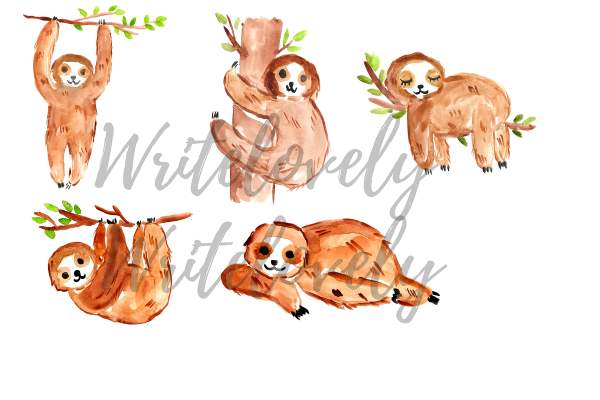 Watercolor Sloth Clipart Set, an Animal Illustration by Writelovely