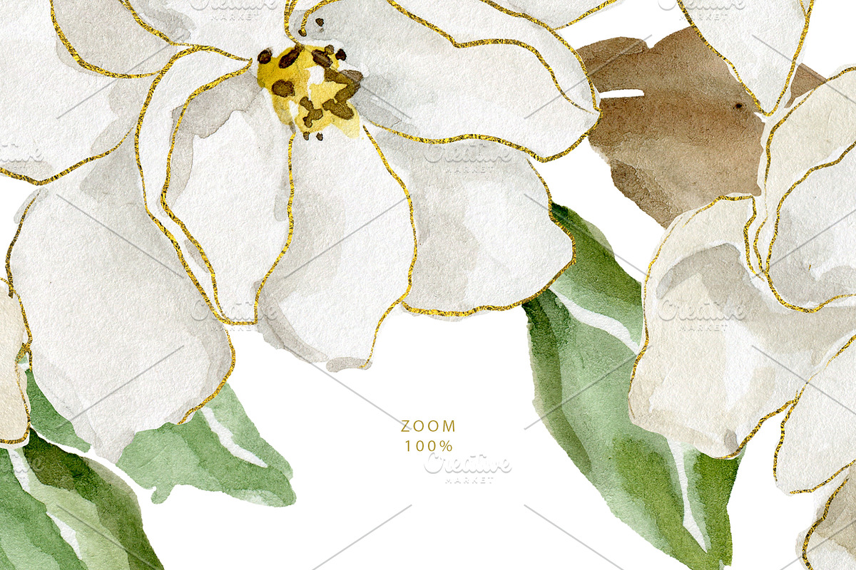 Watercolor & Gold Magnolia Flowers, an Illustration by GraphicsDish
