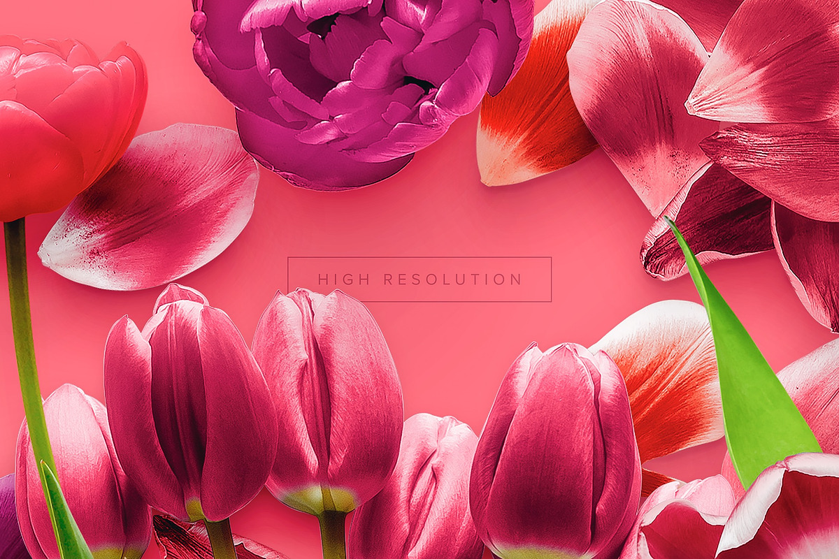 Flower Tulips Edition - Custom Scene, a Product Mockup by Custom Scene