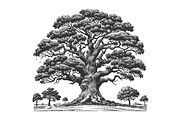 Oak Tree with Expansive Roots, an Object Illustration by AlexArt