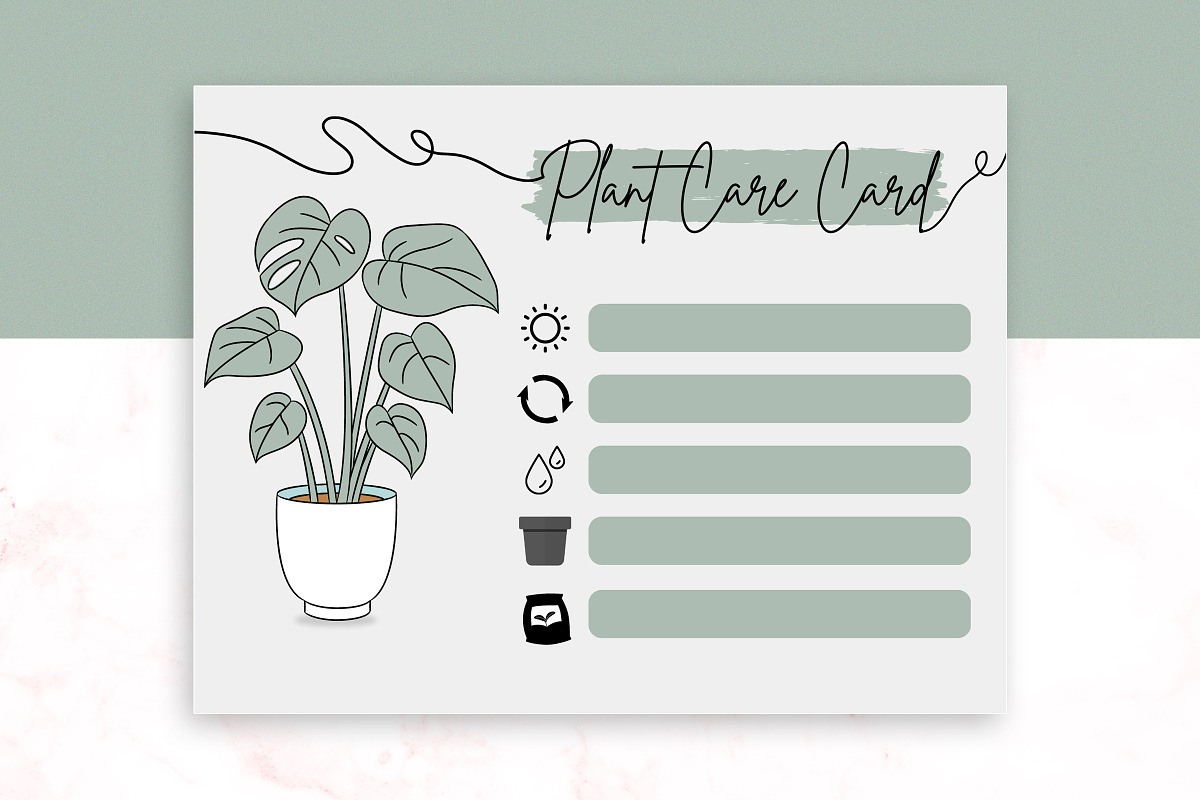 Printable Plant Care Cards Template, a Templates & Theme by Snapybiz