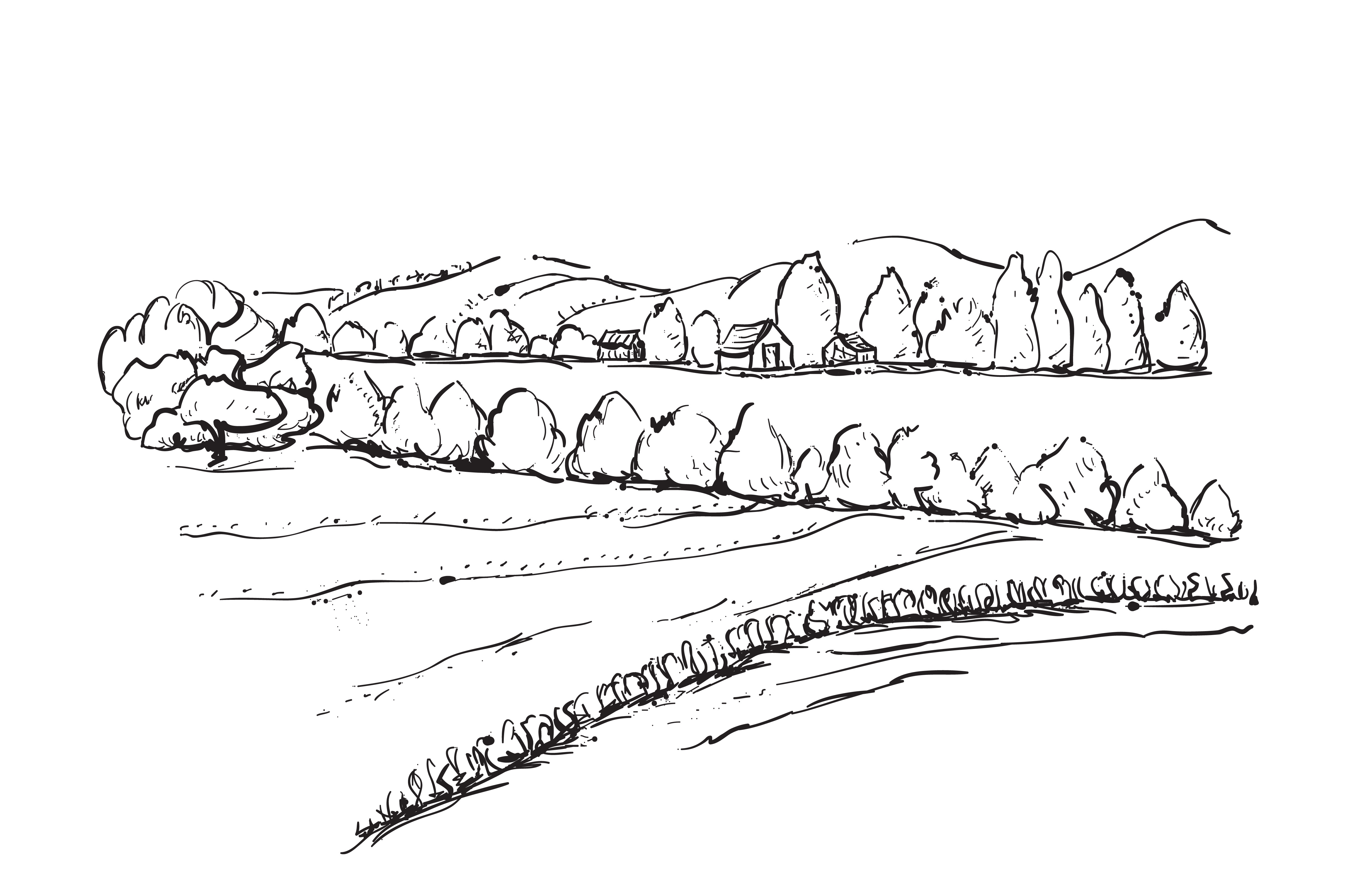 Fields sketch, an Illustration by Sketching