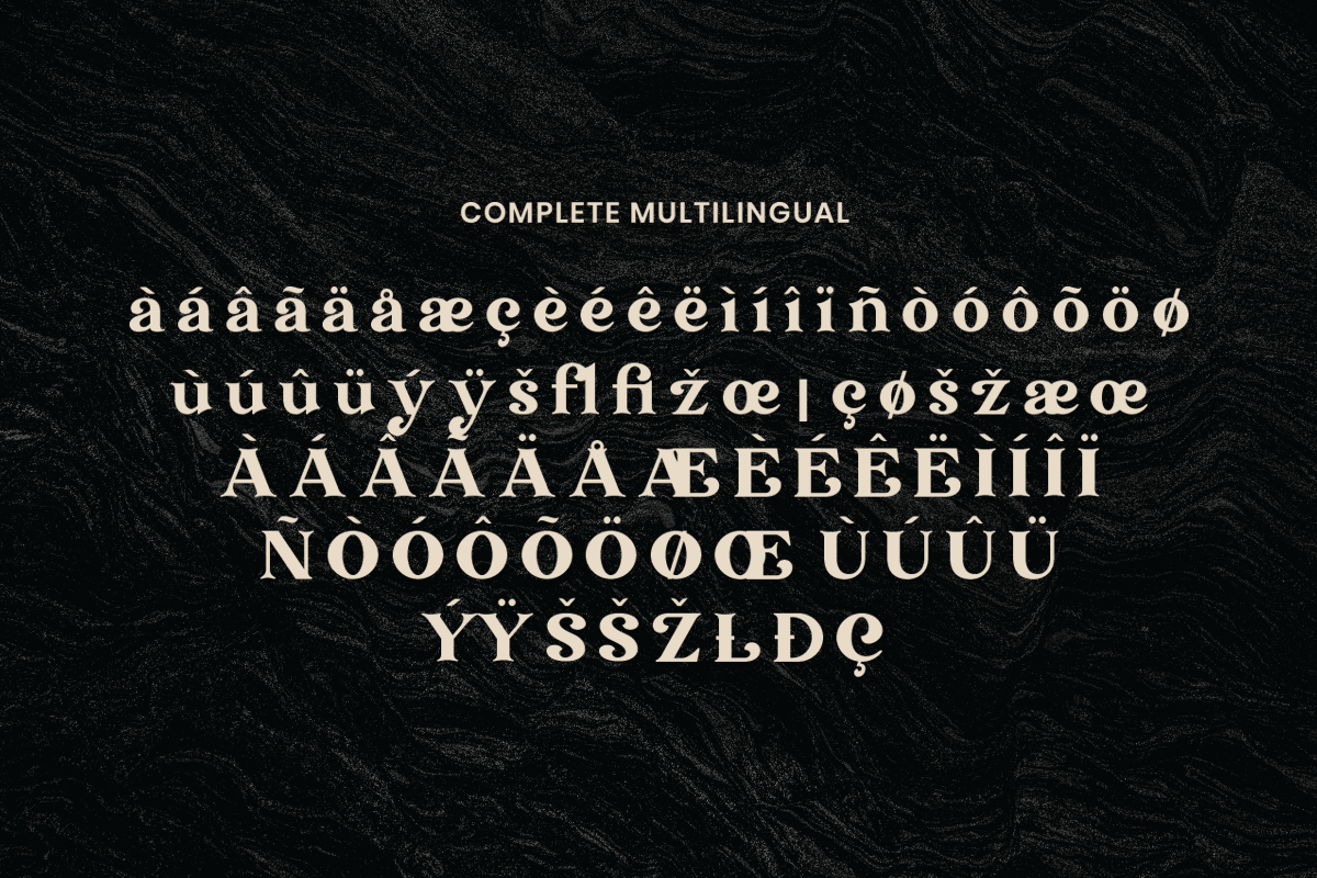 Transcity - A Playful Serif, a Serif Font by Dharmas Foundry
