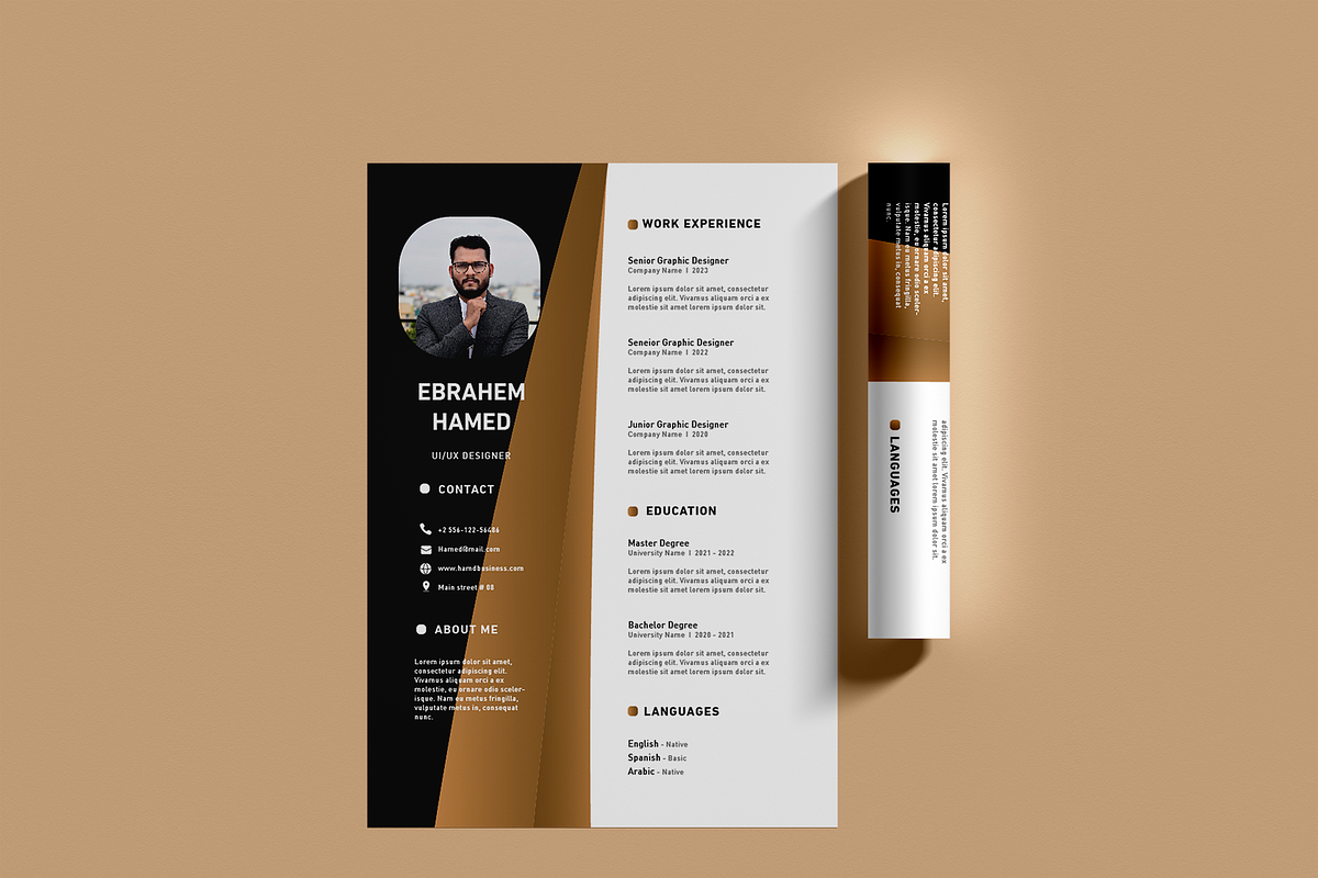 100 Resume - luxury templates, a Resume Template by Hamed Studio