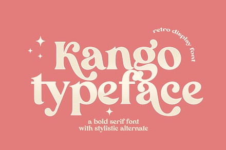 Stiko Vintage Font, a Serif Font by vuuuds