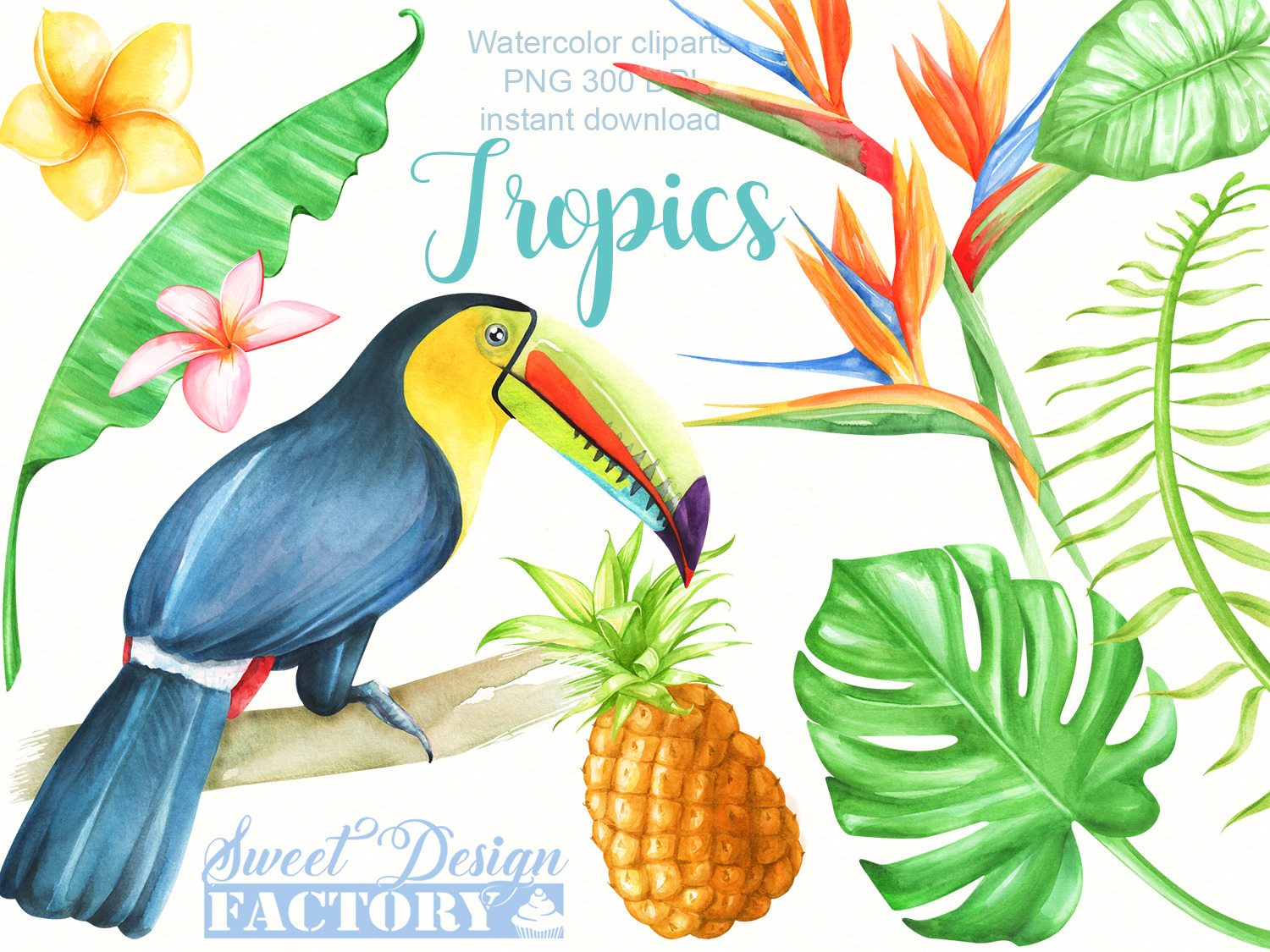 Tropical watercolor cliparts, an Illustration by Sweet sweet design