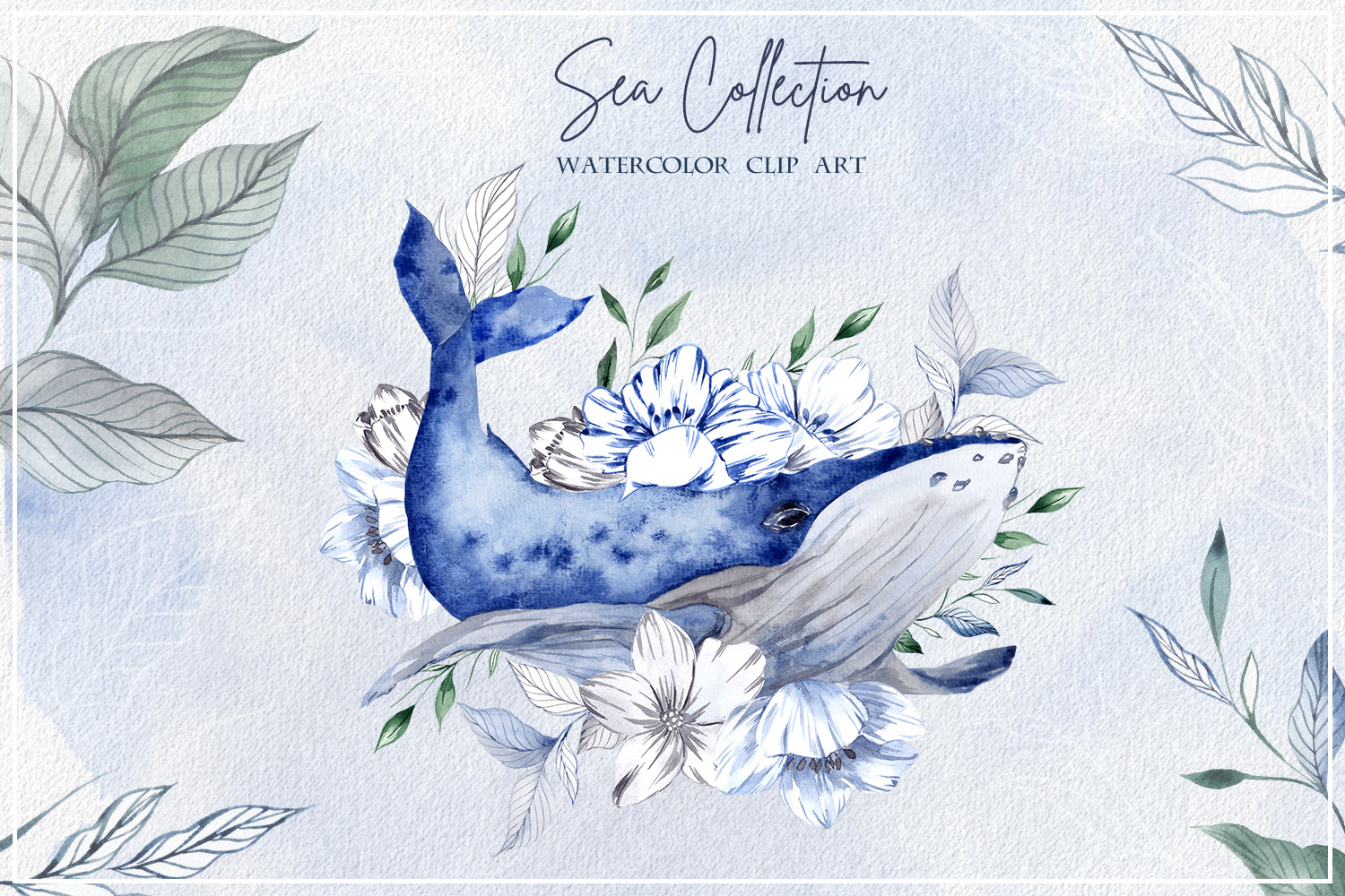 Watercolor Whale clipart. Sea clipart