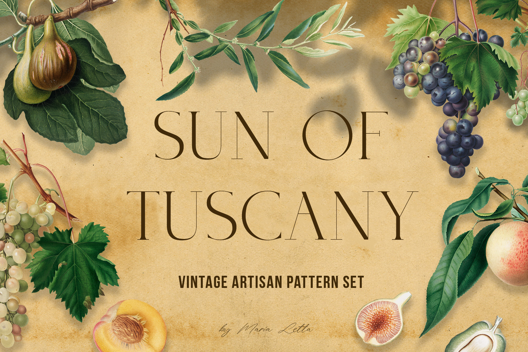 Sun of Tuscany - vintage pattern set, a Pattern Graphic by Beauty Drops ...