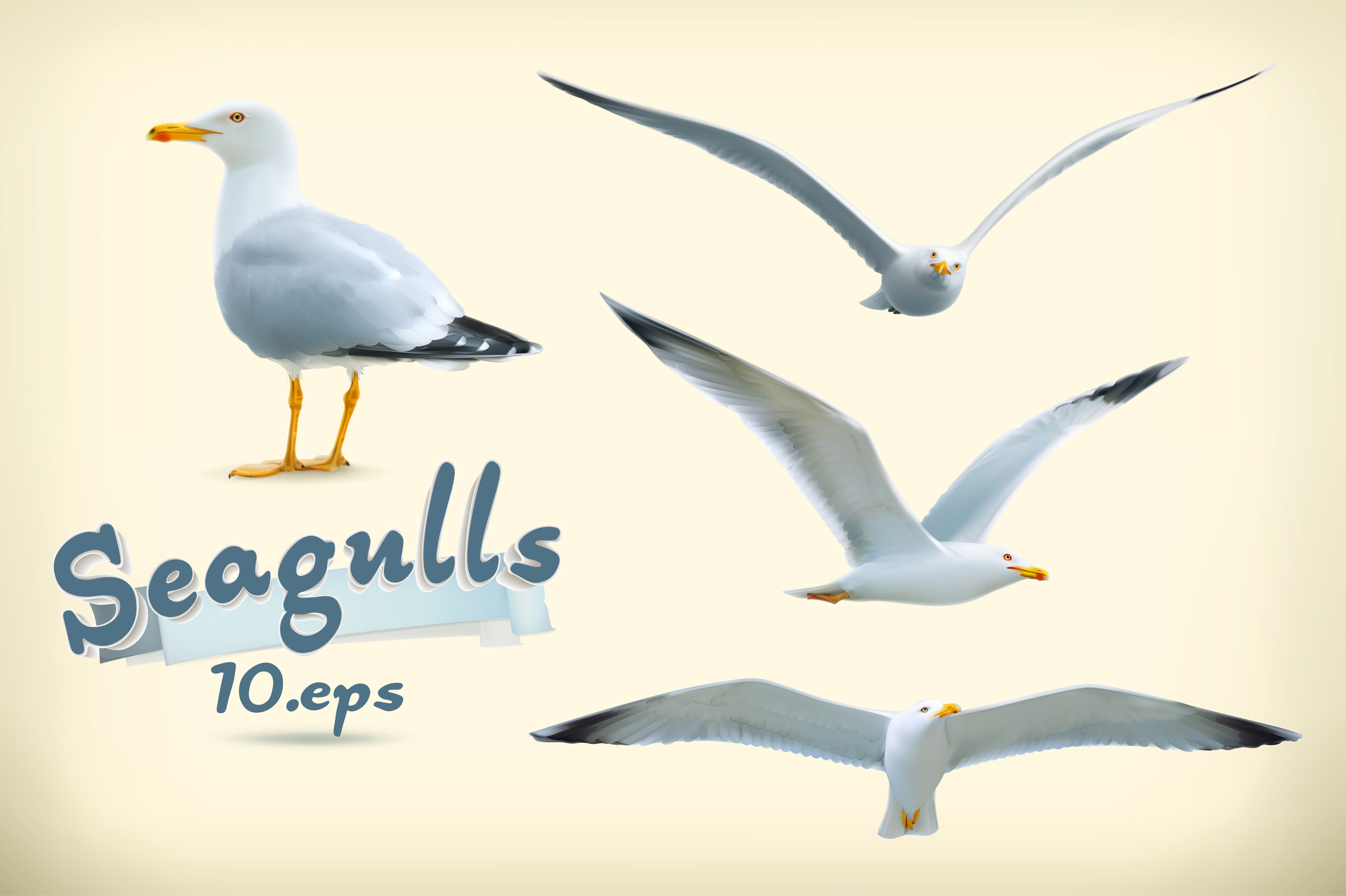 Seagulls, vector icons | Icons ~ Creative Market