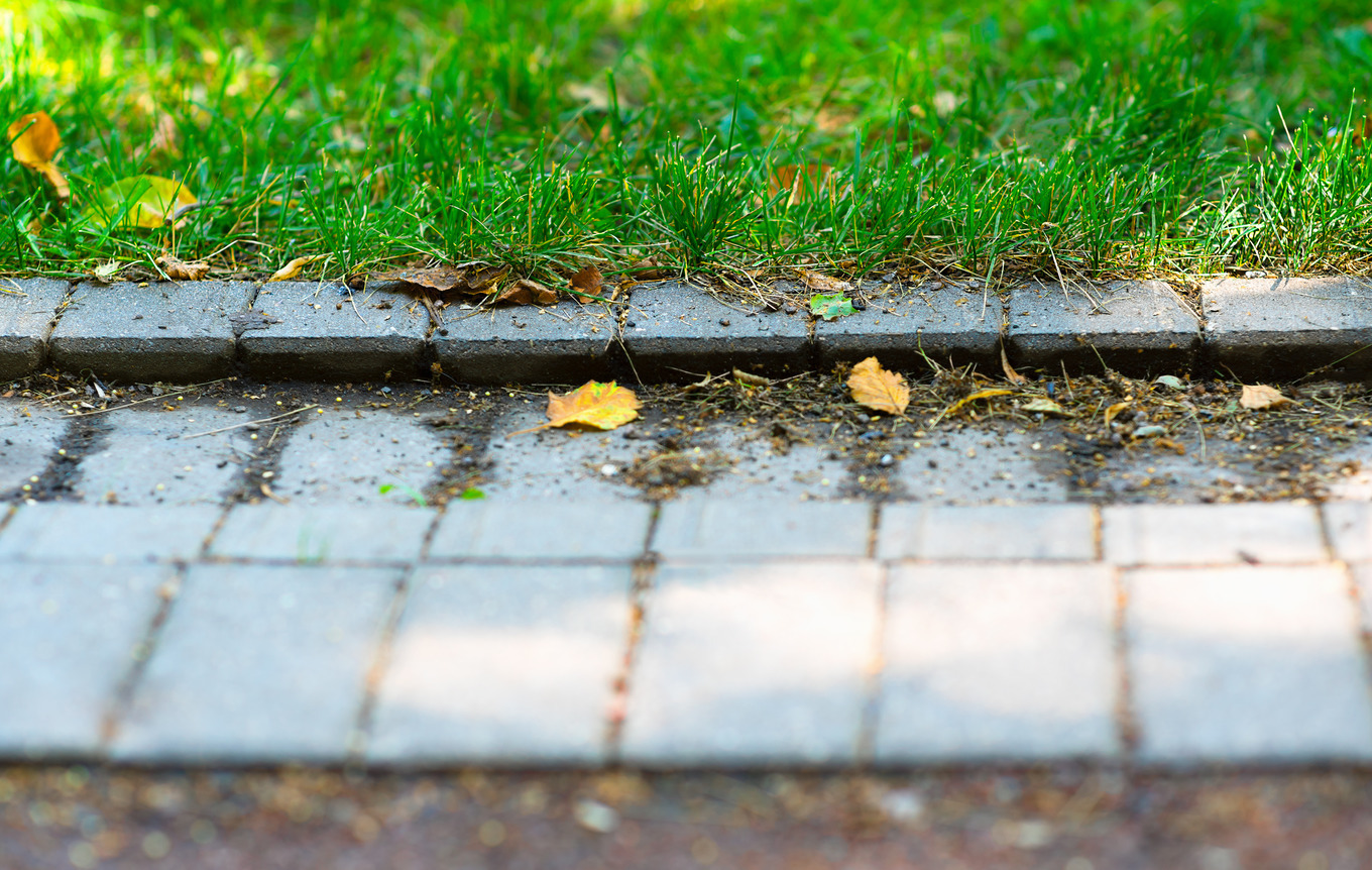 Horizontal park pavement with leaves bokeh background, an Abstract ...