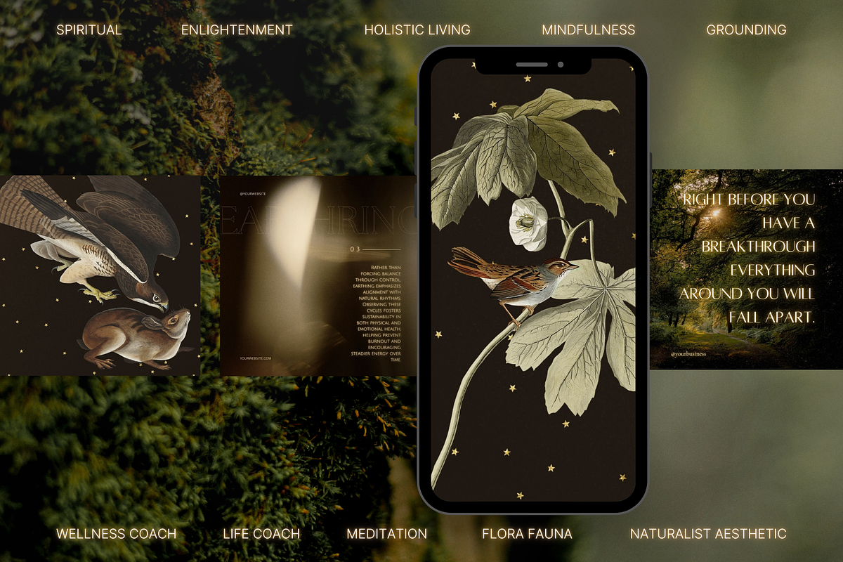 The Naturalist Social Media Bundle