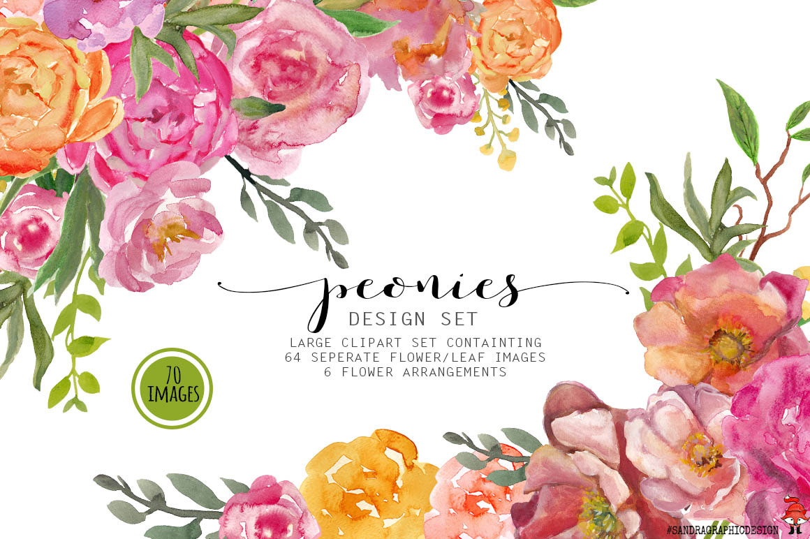 Peonies watercolor clipart, an Illustration by SandraGraphicDesign