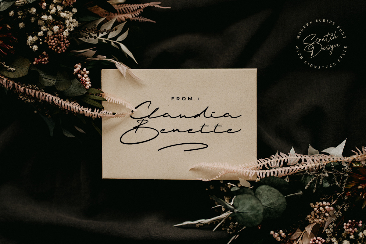 Briana Signature Font - 2 Style font