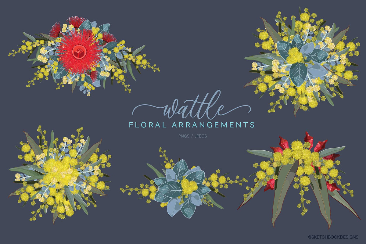 Golden Wattle Design Collection, an Illustration by Sketchbook Designs