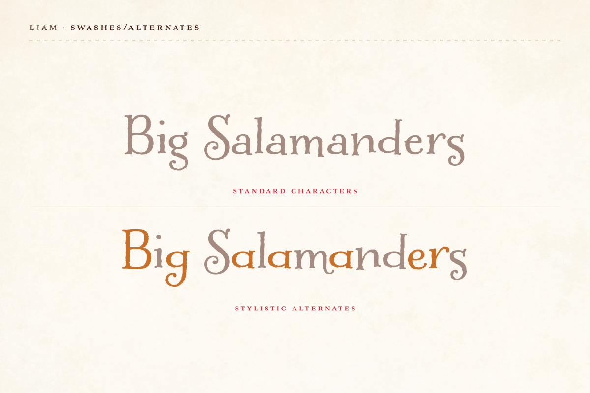 Liam, a Font by Laura Worthington