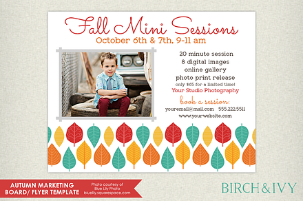 Multipurpose Flyer Template, a Flyer Template by Birch and Ivy