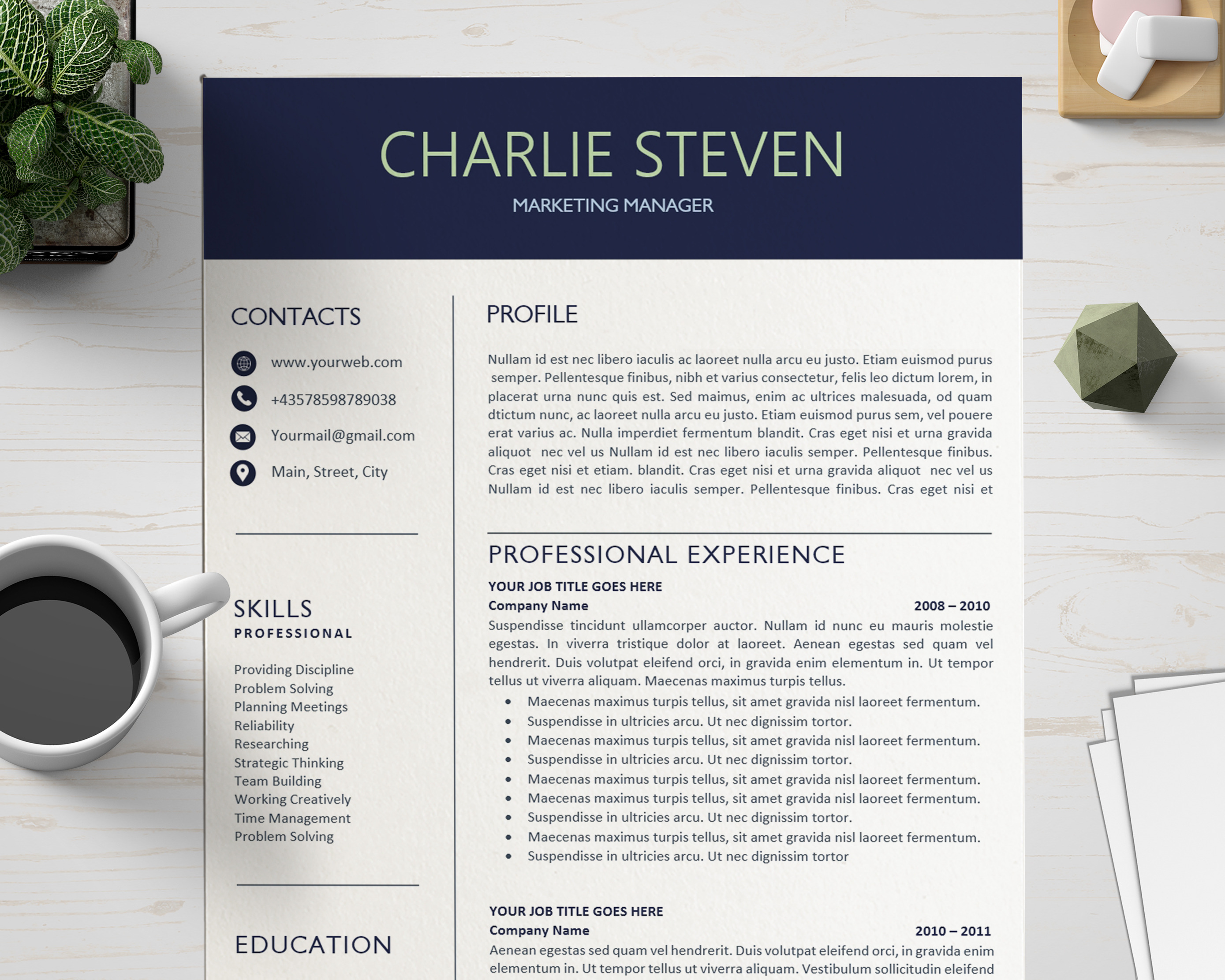 Professional Word Resume CV Template, a Resume Template by Wow Designs ...